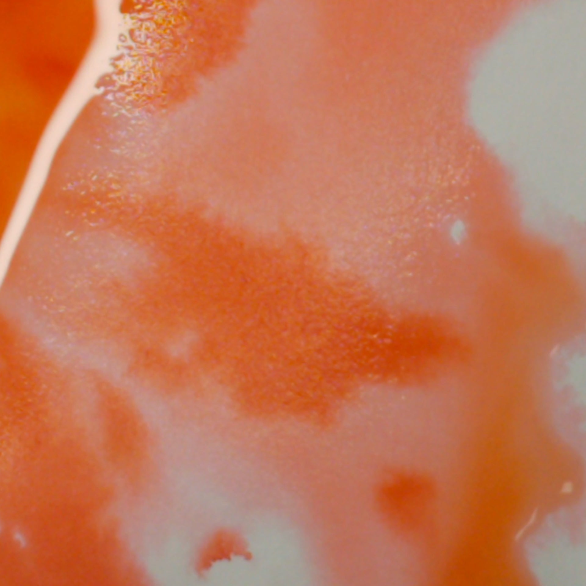 Zita Inks | Fountain Pen Ink | Fine Writing